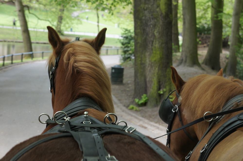 Parc Josaphat | Schaerbeek